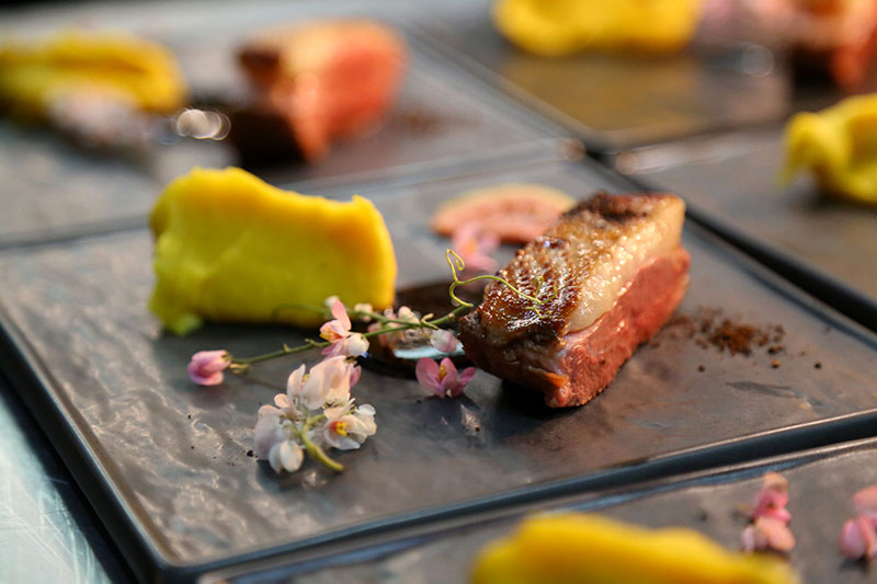 Laguna-Duck-Breast - SunStar